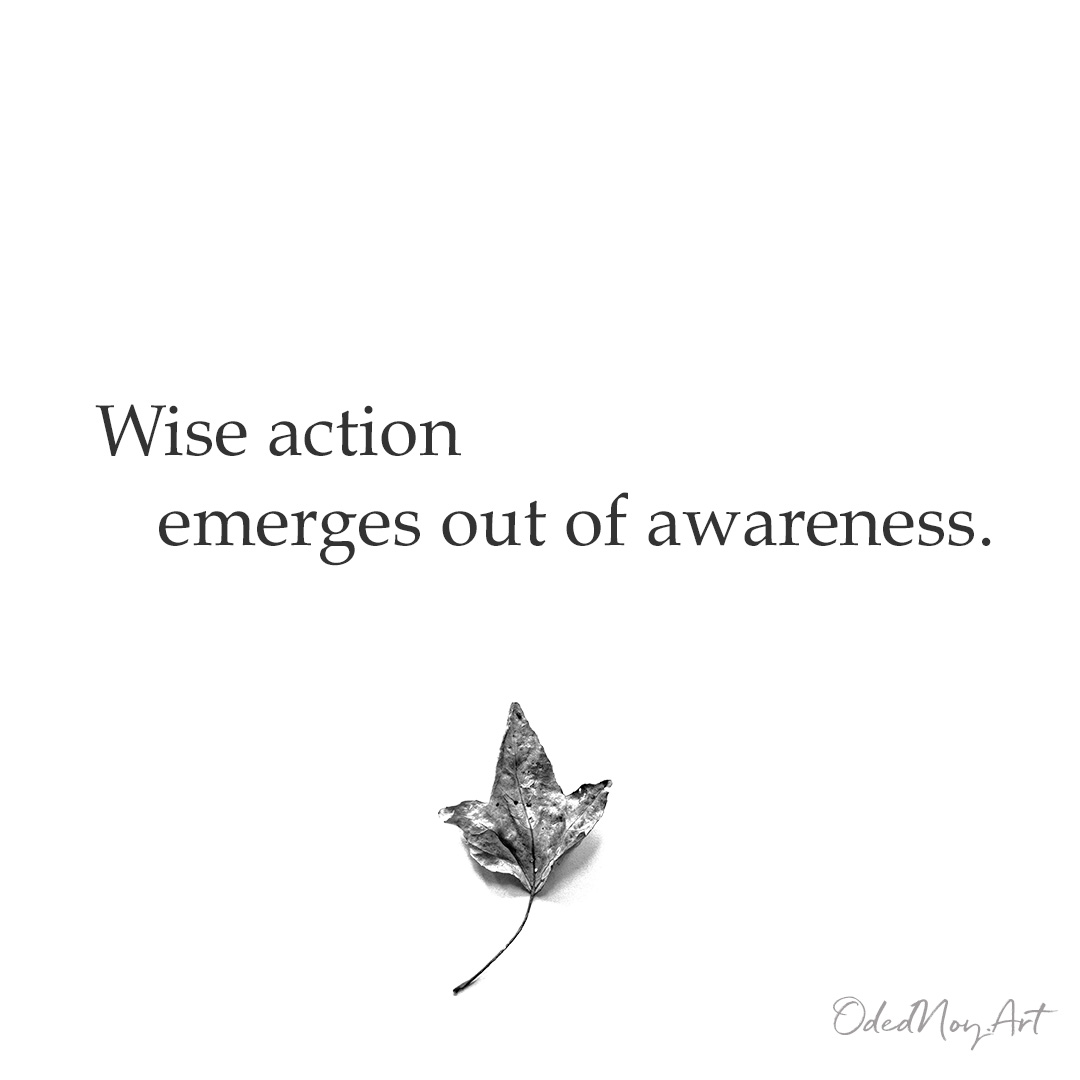 Action Poem – Oded Noy Art